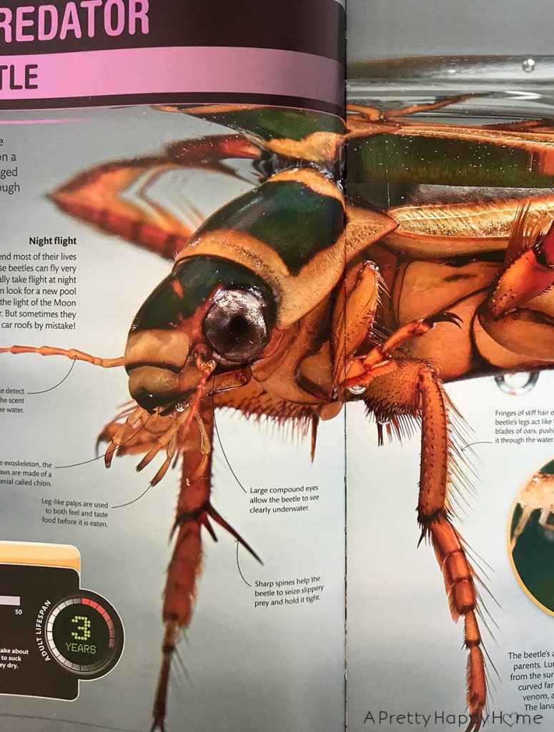 Books My Kids Are Reading Part 9 – A Pretty Happy Home