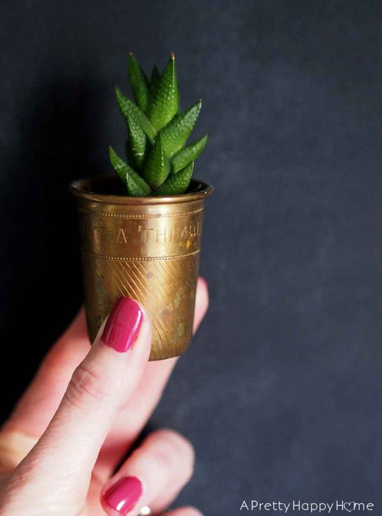 3 Unexpected Succulent Planters – A Pretty Happy Home