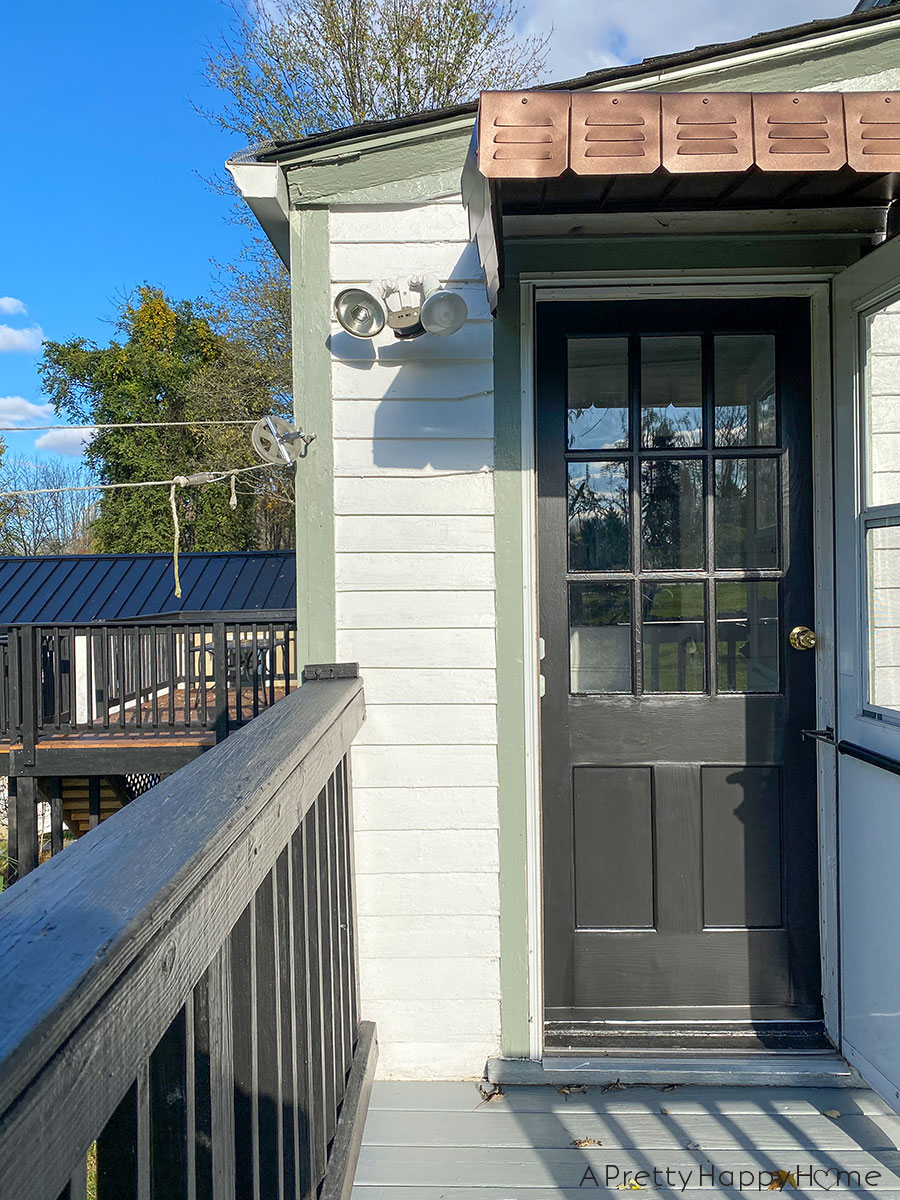 How to Remove a Dog Door From a Wood Door and Repair the Damage – A ...