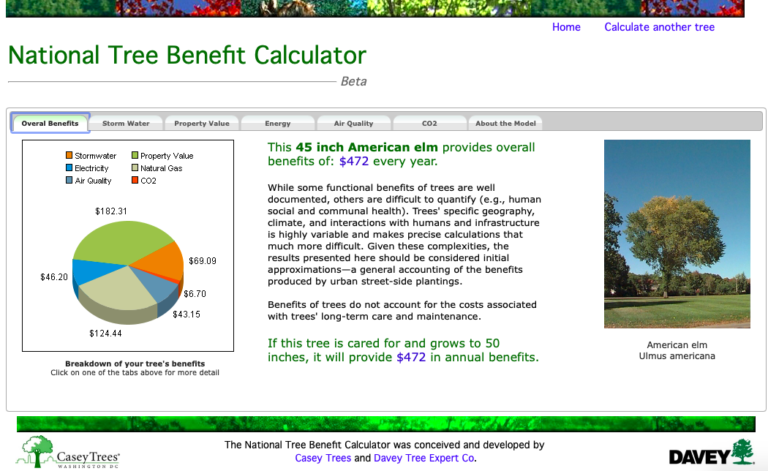 How to Calculate the Value of a Tree – A Pretty Happy Home