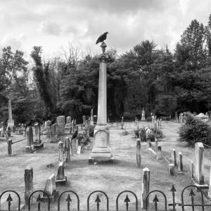 How to Fix a Sagging Wood Bench – A Pretty Happy Home