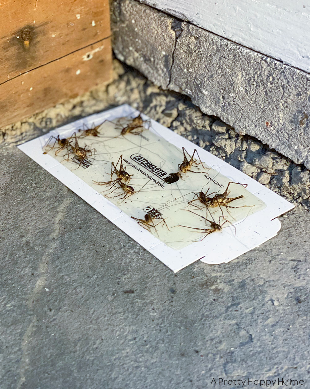 DIY Pest Control Tips For An Old House – A Pretty Happy Home