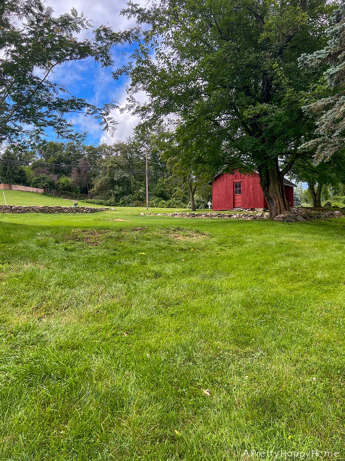 The Age-Related Reason Why We’re Removing Tree Stumps – A Pretty Happy Home