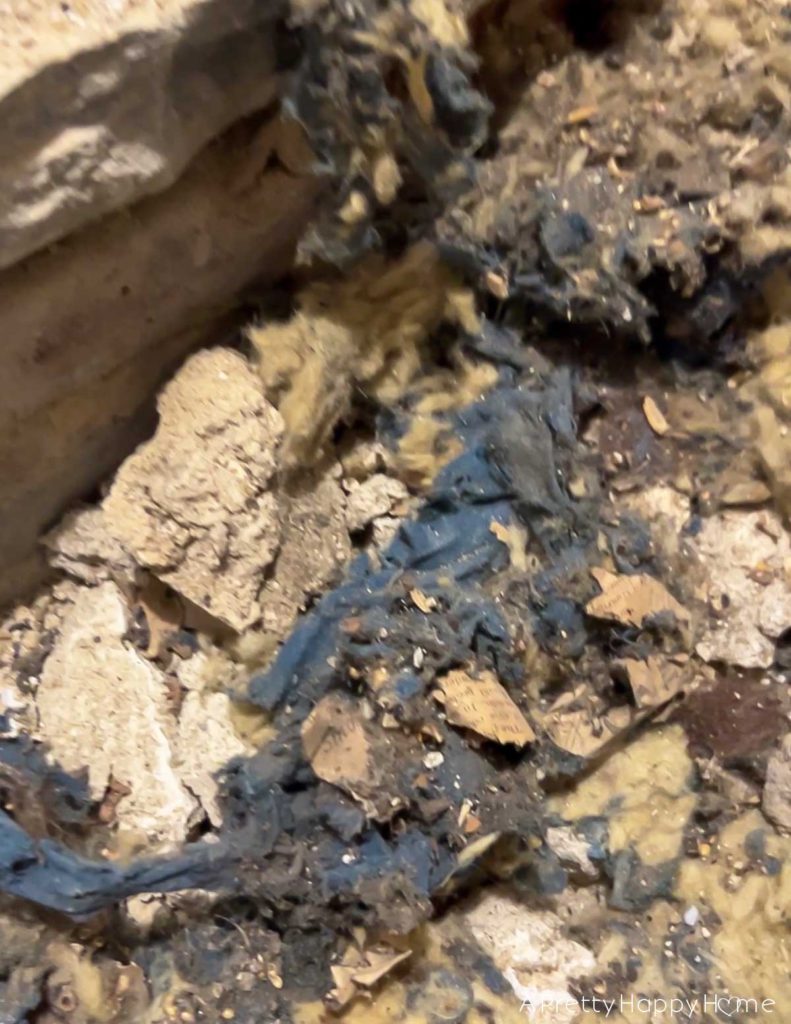 6 Things We Found Inside Our Stone Walls – A Pretty Happy Home