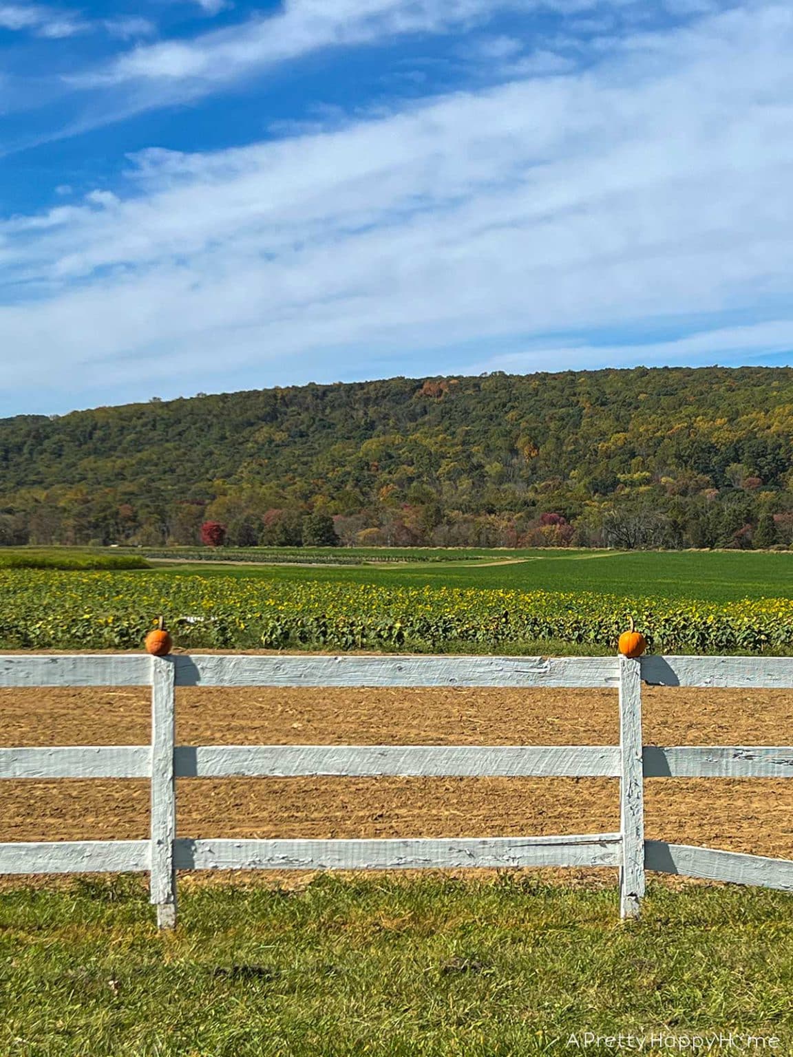 Happy List: #405 – A Pretty Happy Home